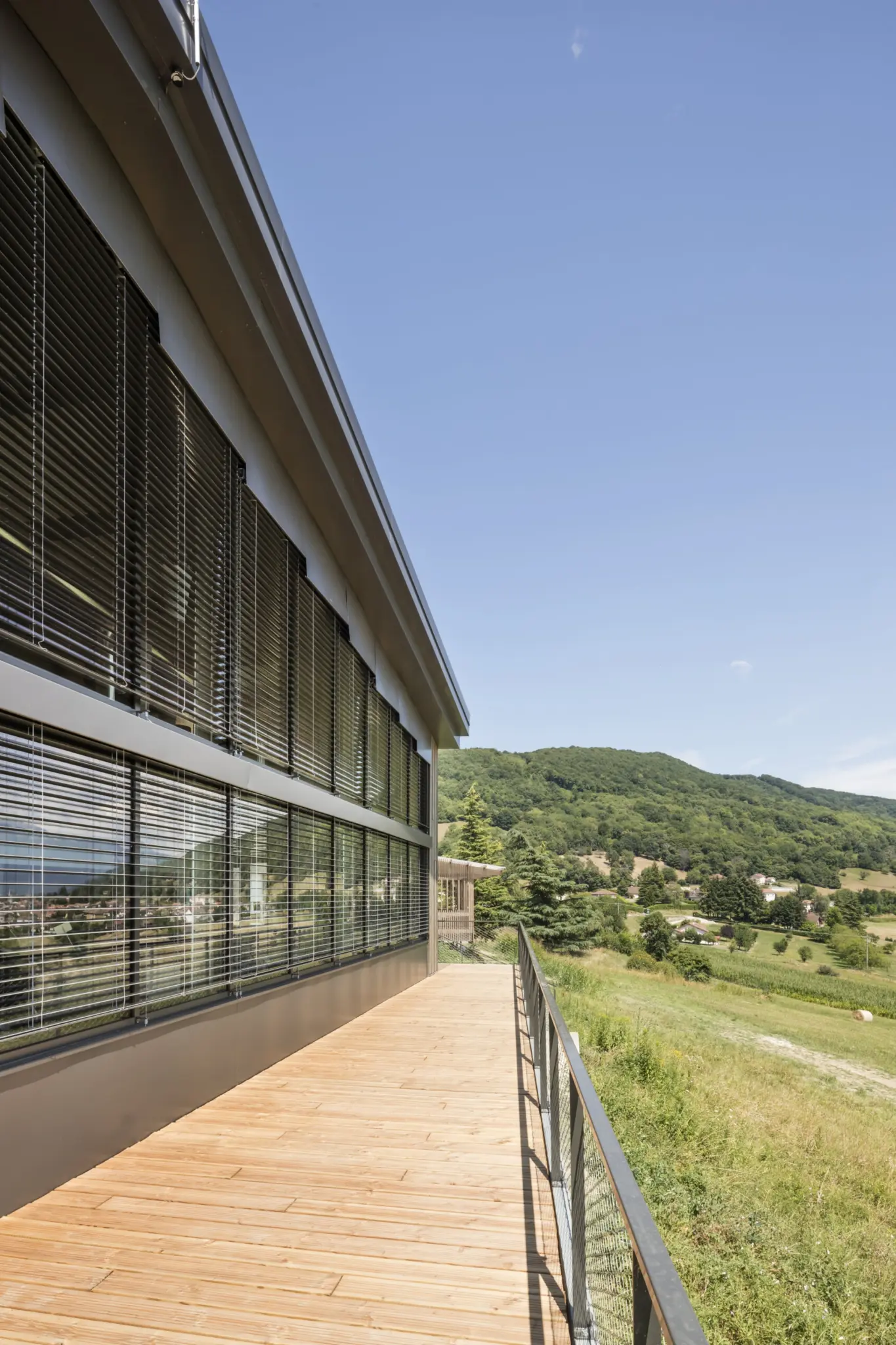 About Us: Our History, Values, Vision & Team | Korus Group