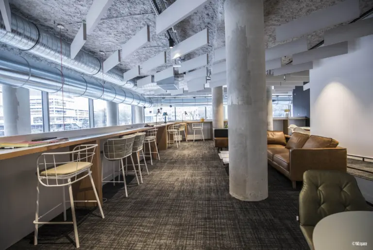 Modjo by Wojo | Korus Group